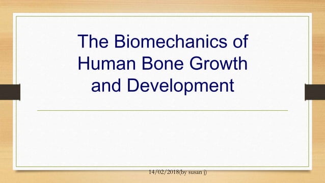 The Biomechanics of Human Bone Growth and Development | PPT
