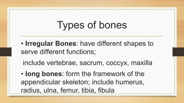 The Biomechanics of Human Bone Growth and Development