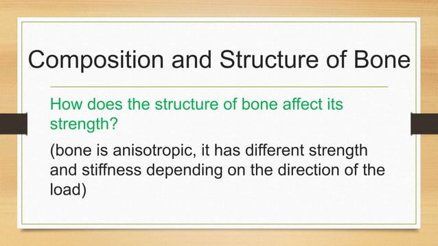 The Biomechanics of Human Bone Growth and Development