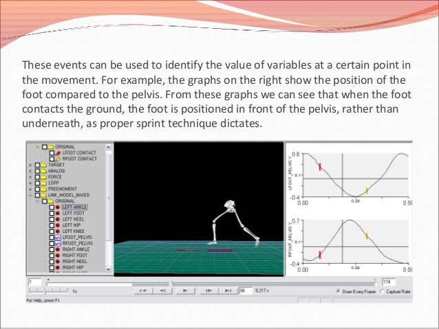 Biomechanical Analysis