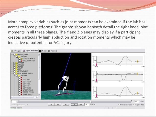 Biomechanical Analysis
