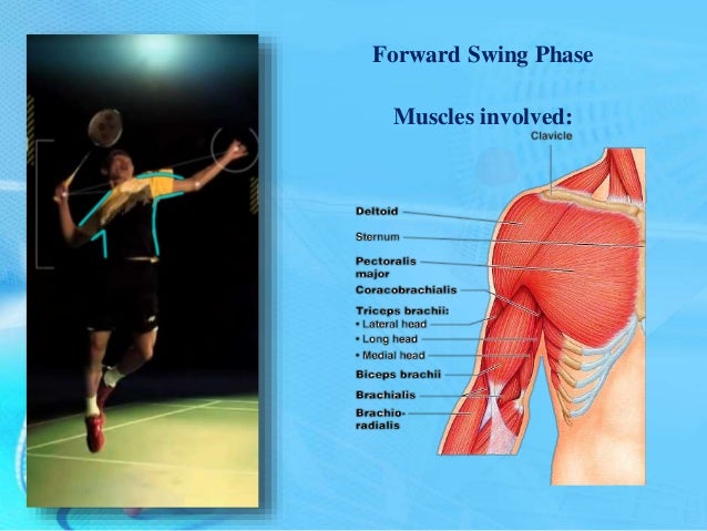 Biomechanical Analysis of a Badminton Jump Smash