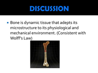 Biomechanical bone remodeling | PPT