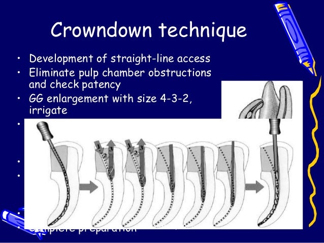 Biomechanical instrumentation
