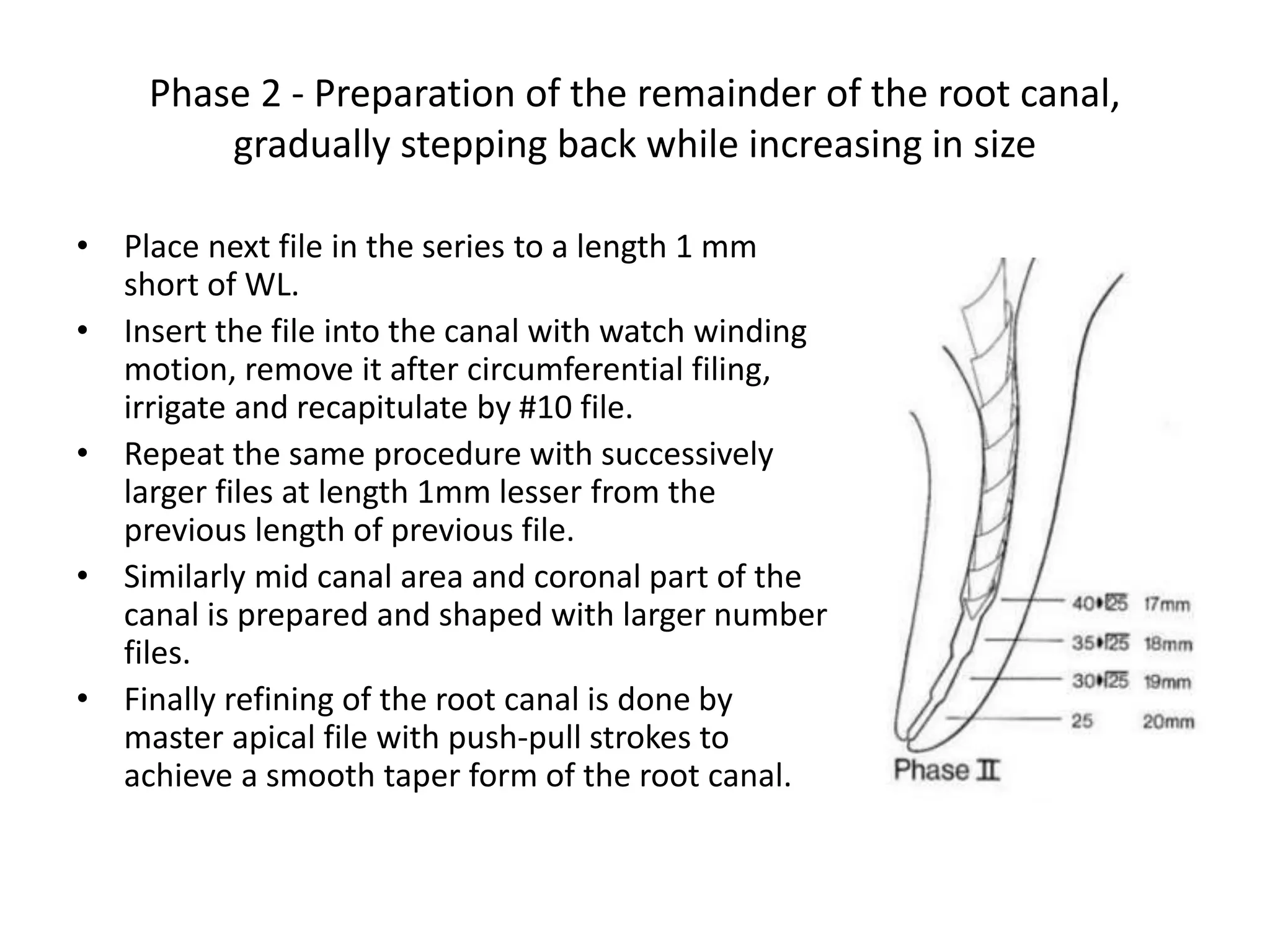Biomechanical Preparation | PPTX