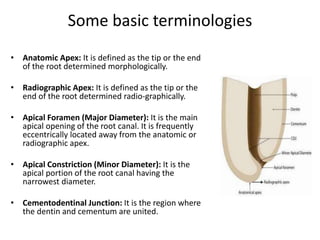 Biomechanical Preparation | PPTX