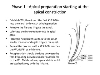 Biomechanical Preparation | PPTX