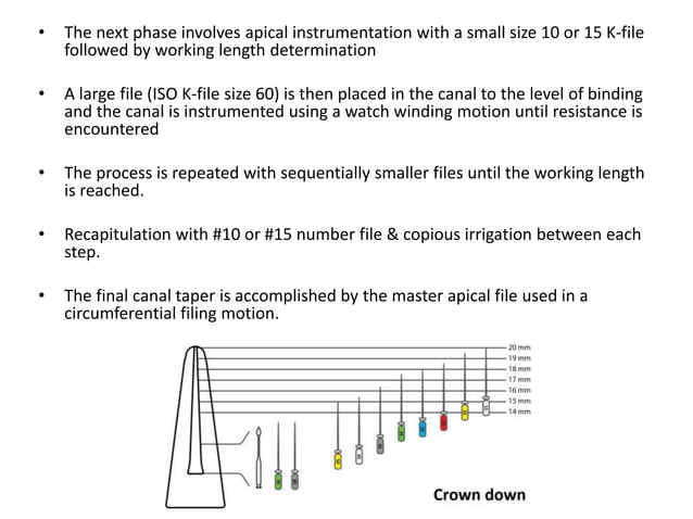 Biomechanical Preparation | PPTX