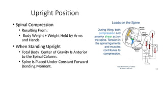 biomechanic human spine and anatomy.pptx