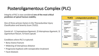 BASIC BIOMECHANIC OF Spine vertebrae.pptx