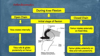 knee joint biomechanics 2nd BPTH Kinesiology | PPTX