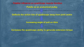 knee joint biomechanics 2nd BPTH Kinesiology | PPTX