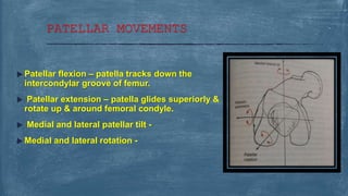 knee joint biomechanics 2nd BPTH Kinesiology | PPTX