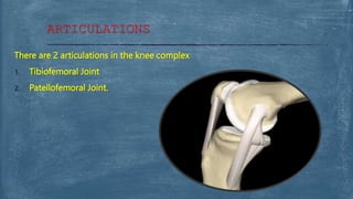 knee joint biomechanics 2nd BPTH Kinesiology | PPTX