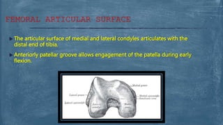 knee joint biomechanics 2nd BPTH Kinesiology | PPTX