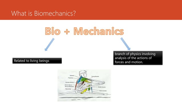 Introduction to Biomechanics | PPTX