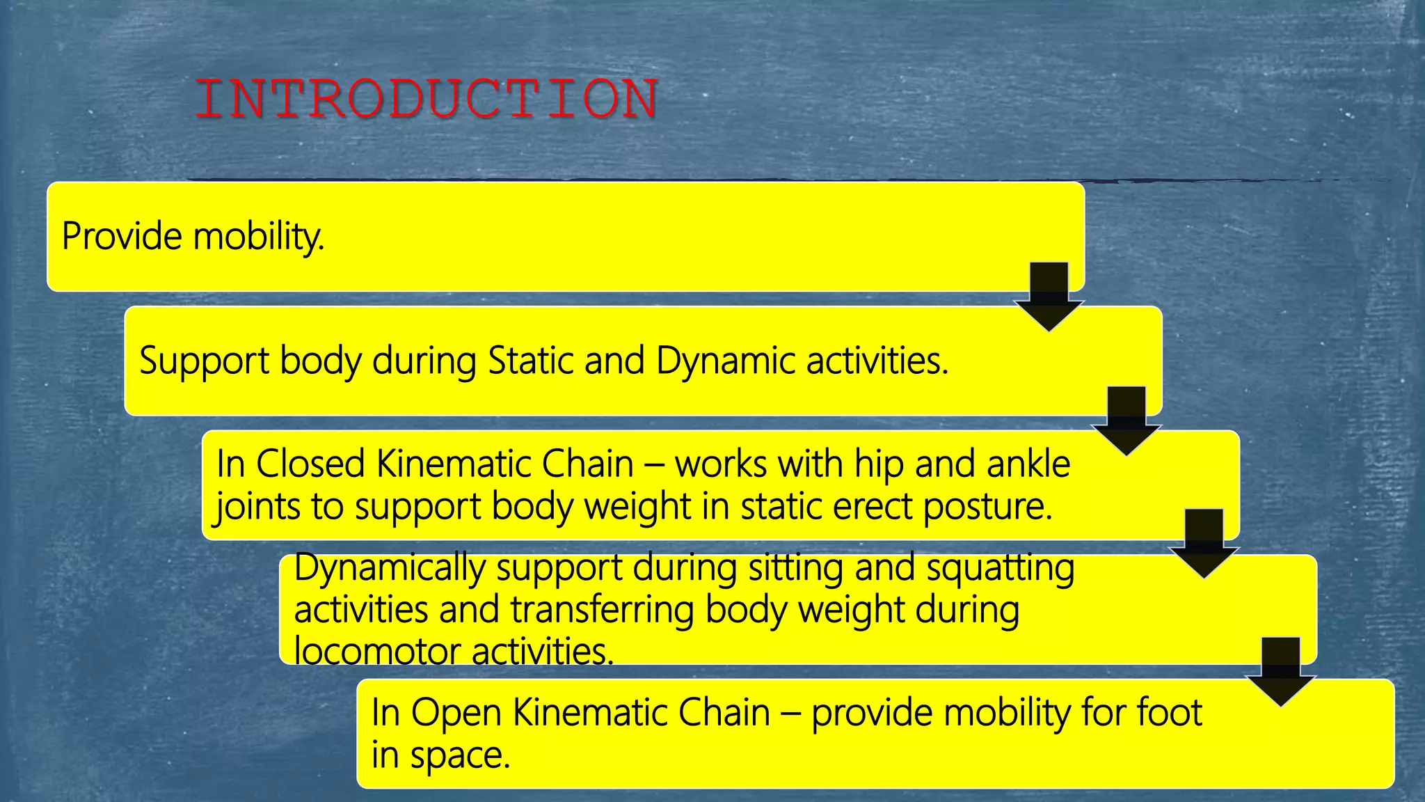 Biomechanics | PPTX