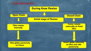 Biomechanics | PPT