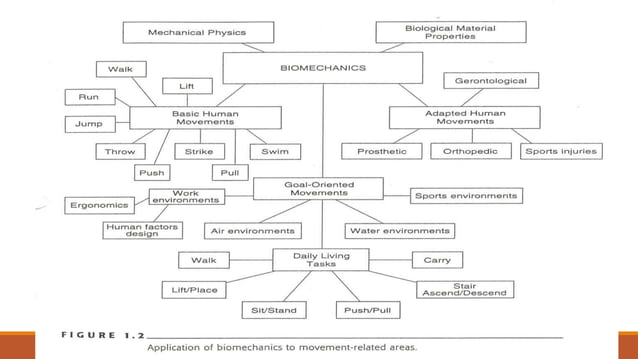 WHAT IS BIOMECHANICS? | PPTX | Physics | Science