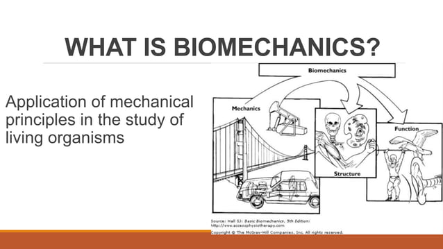 WHAT IS BIOMECHANICS? | PPTX | Physics | Science