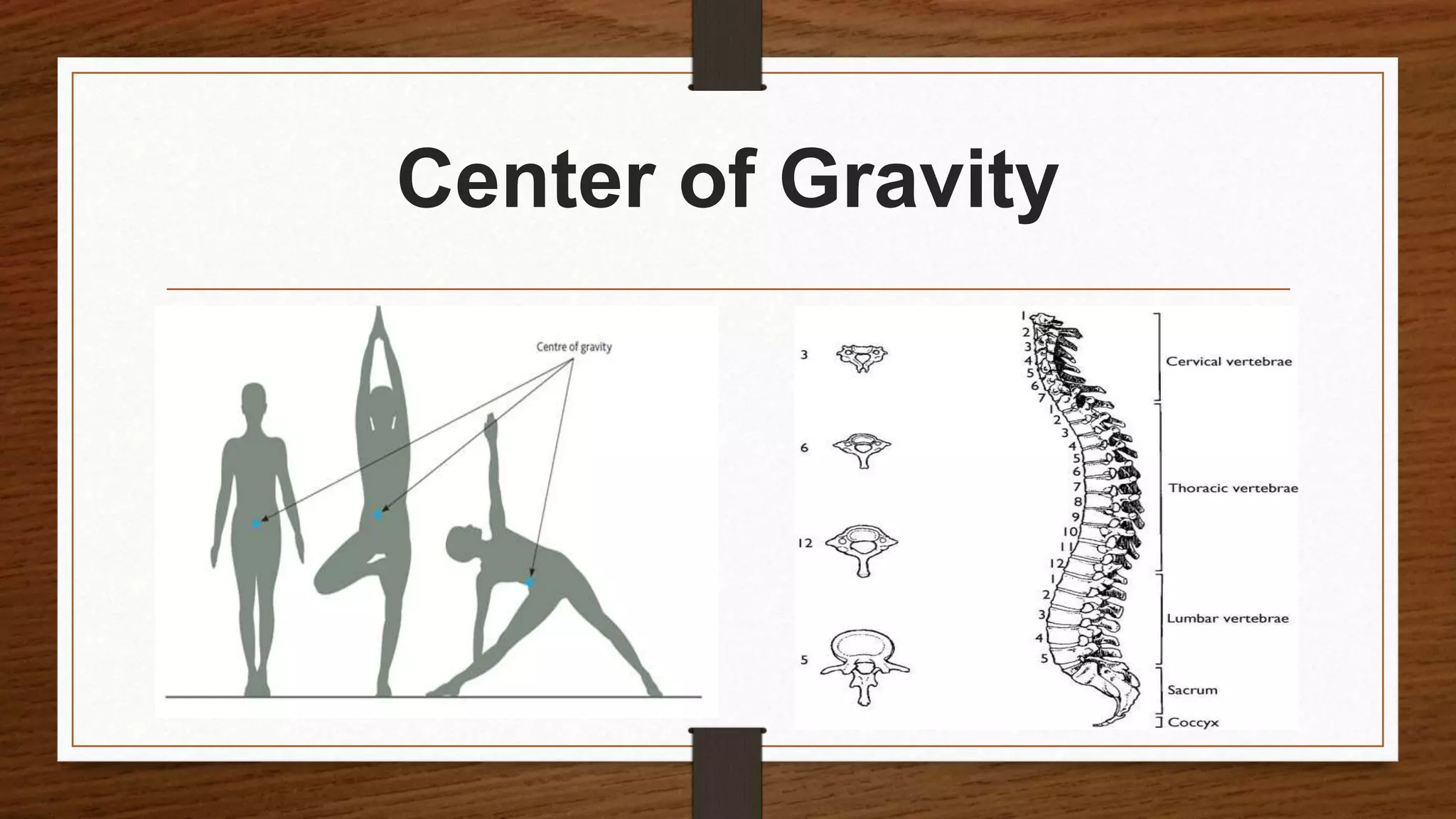 Kinetic Concepts for Analyzing Human Motion. (Biomechanics) | PPTX
