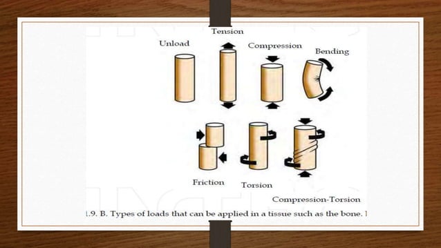 Kinetic Concepts for Analyzing Human Motion. (Biomechanics) | PPTX ...