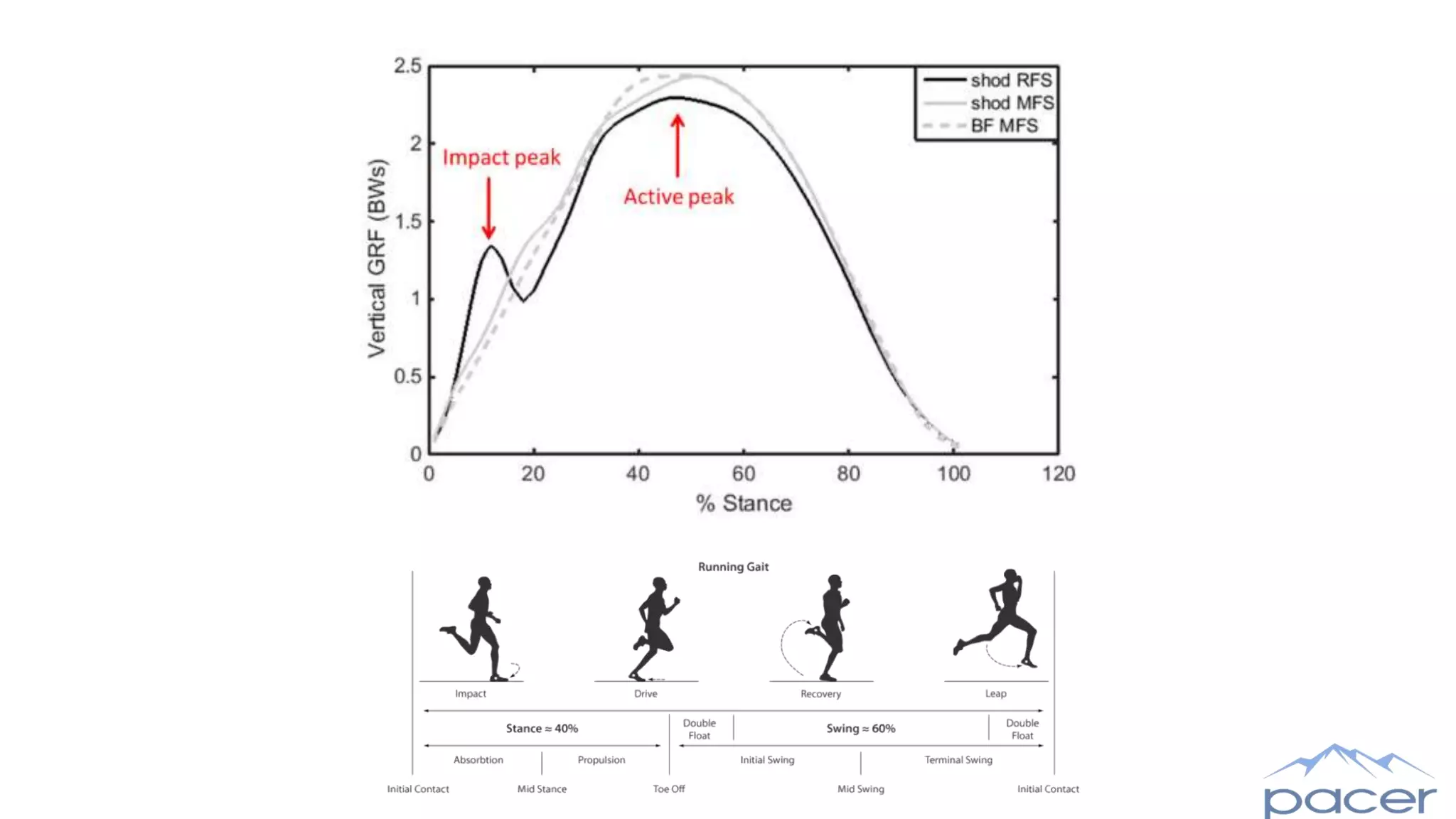 Running Biomechanics: Theory and Application | PPTX