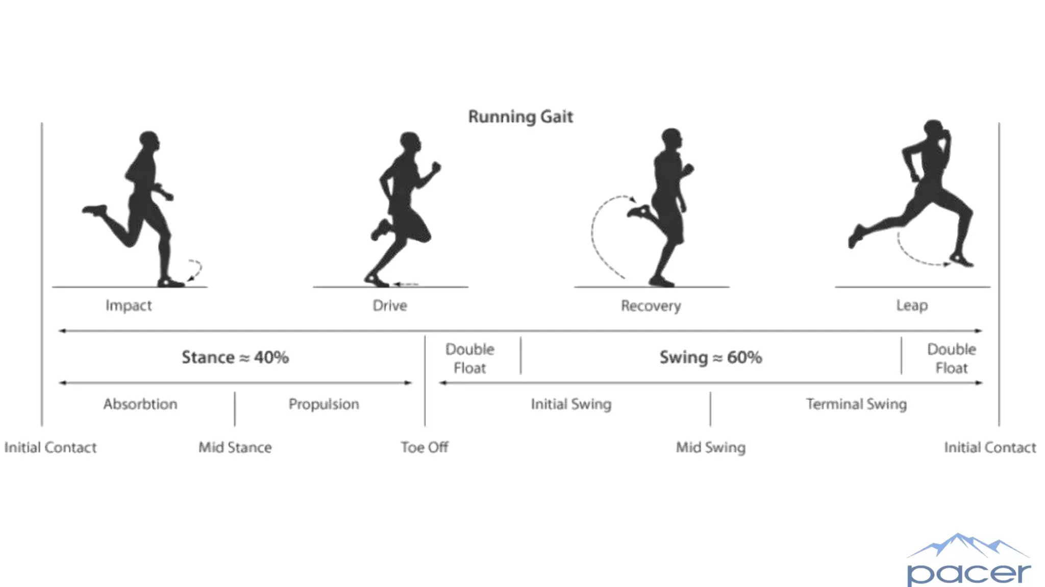 Running Biomechanics: Theory and Application | PPT