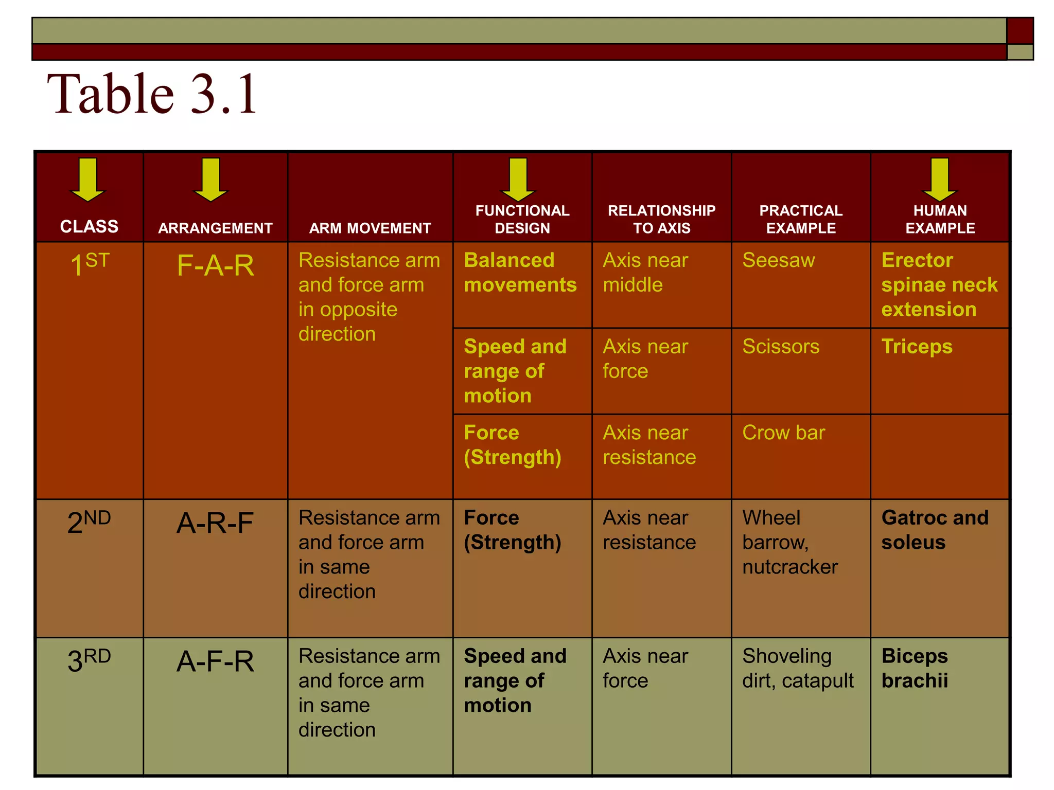 biomechanics.ppt