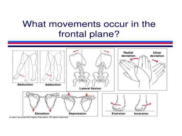 BIOMECHANICS of upper extremity of hiumanbody .pptx