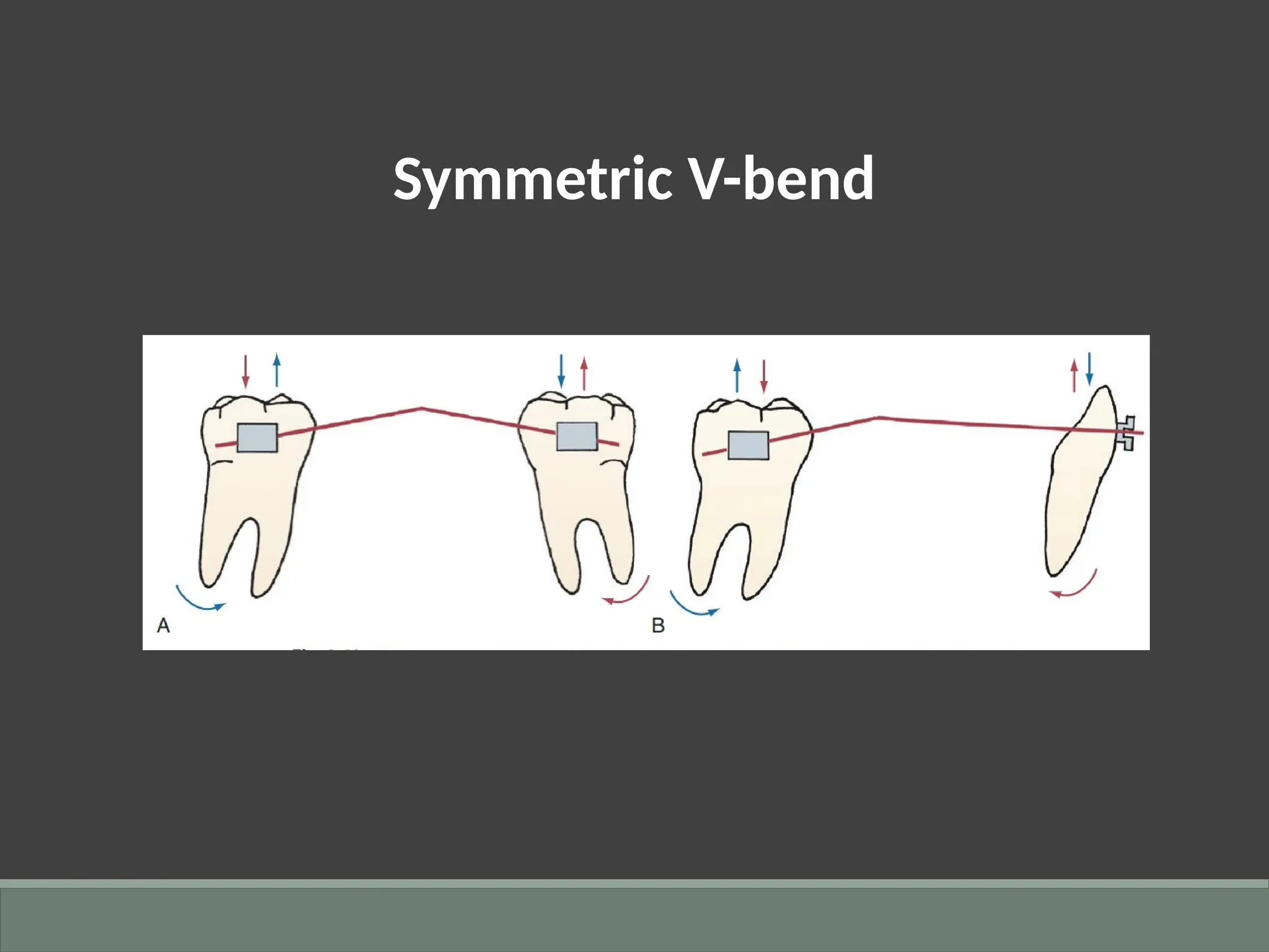 BIOMECHANICS.pptx Salzmann’s defined, the interdependence of form and ...