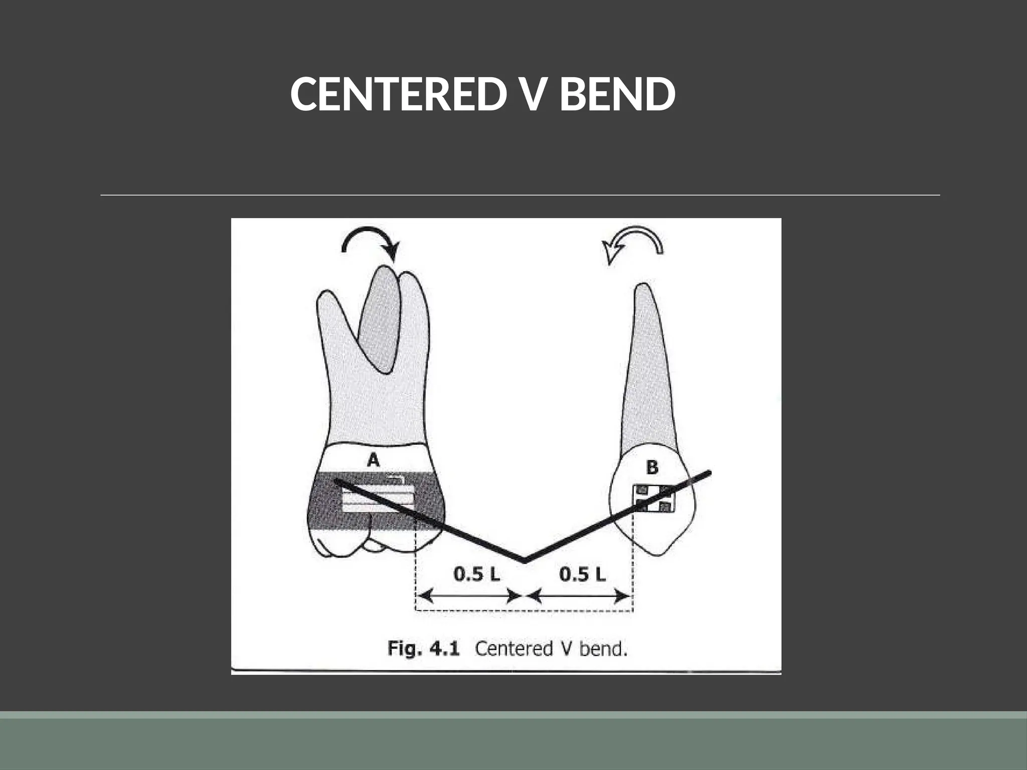 BIOMECHANICS.pptx Salzmann’s defined, the interdependence of form and ...