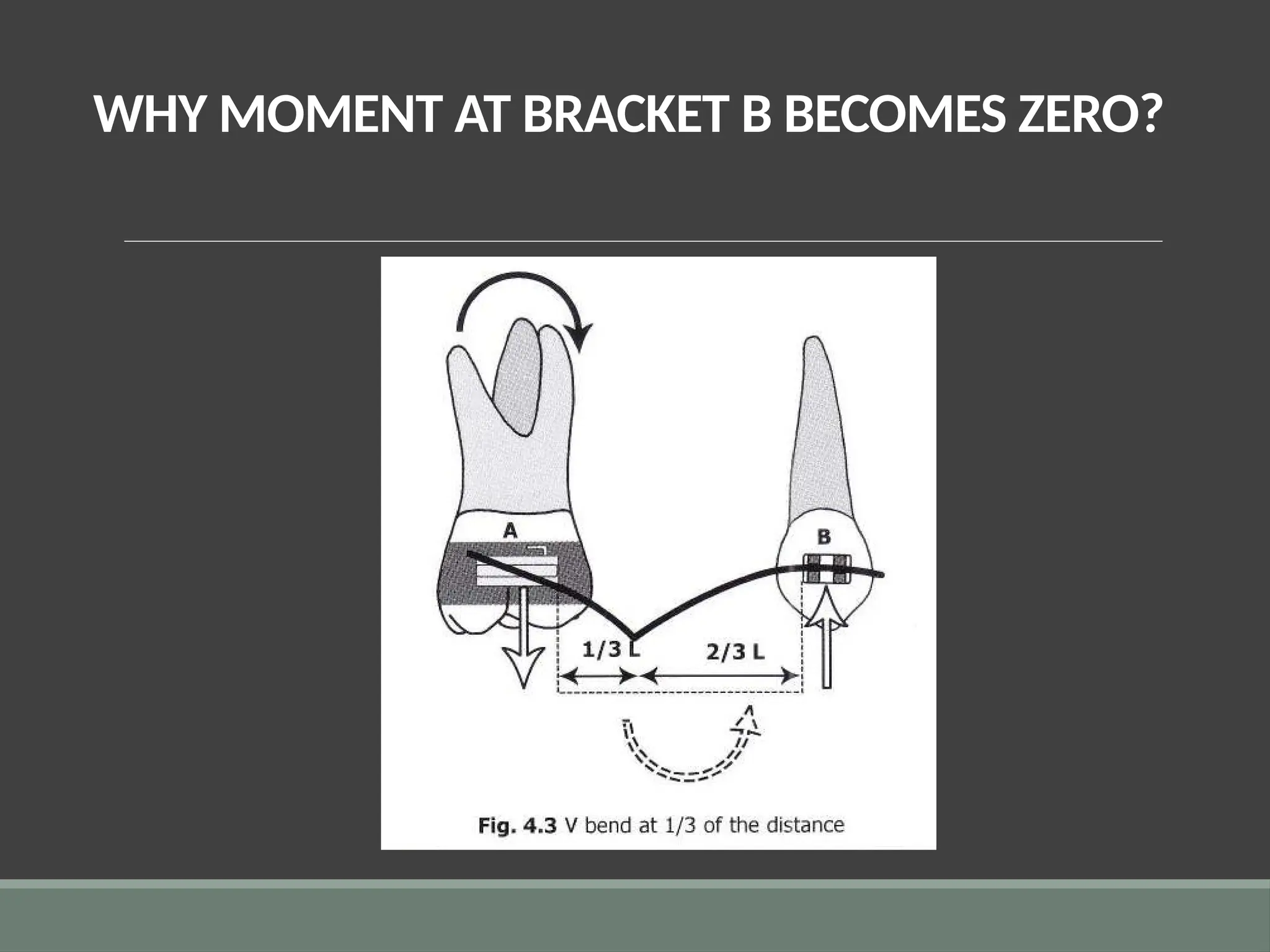 BIOMECHANICS.pptx Salzmann’s defined, the interdependence of form and ...