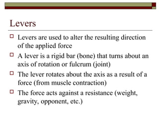 Biomechanics Introduction Powerpoint Slides | PPT
