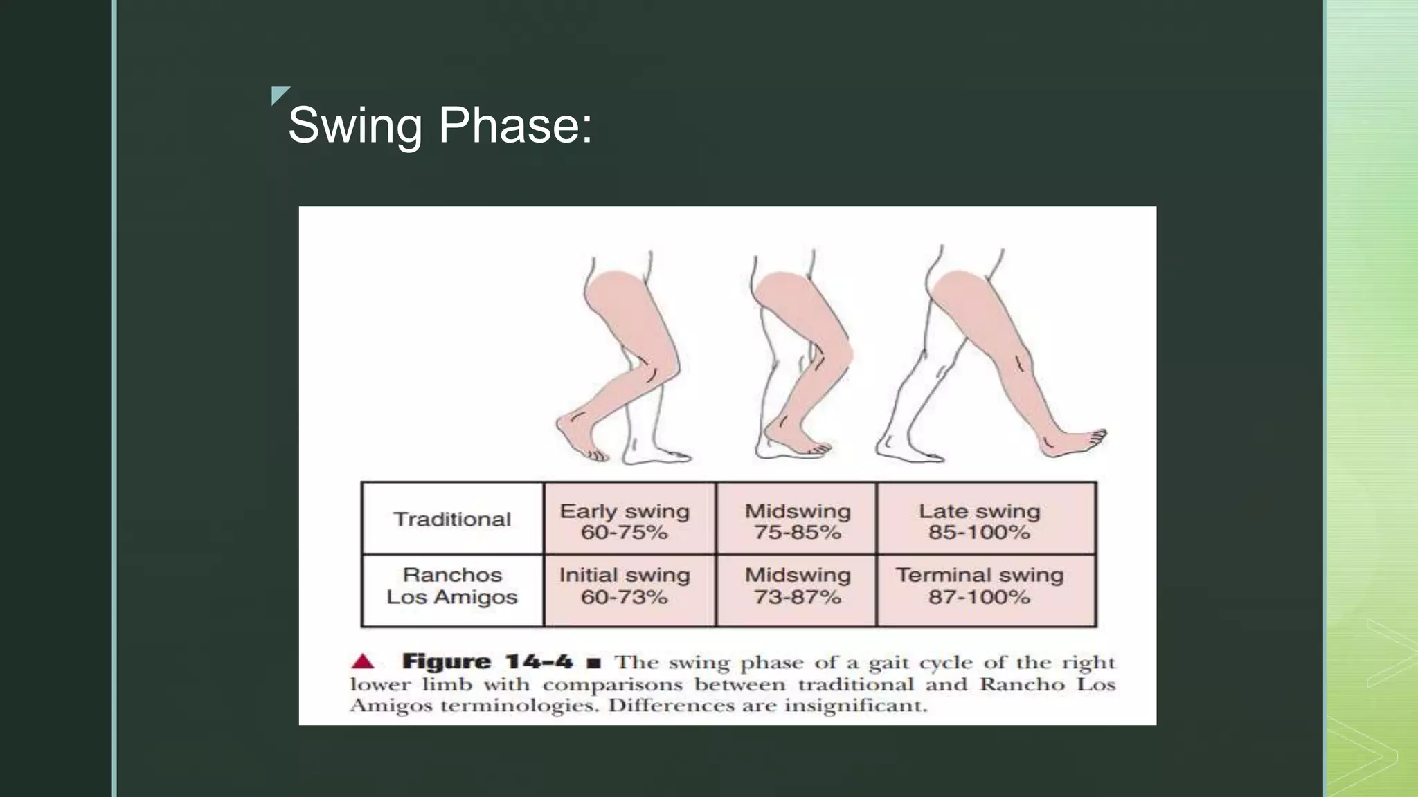 BIOMECHANICS- Gait.pptx