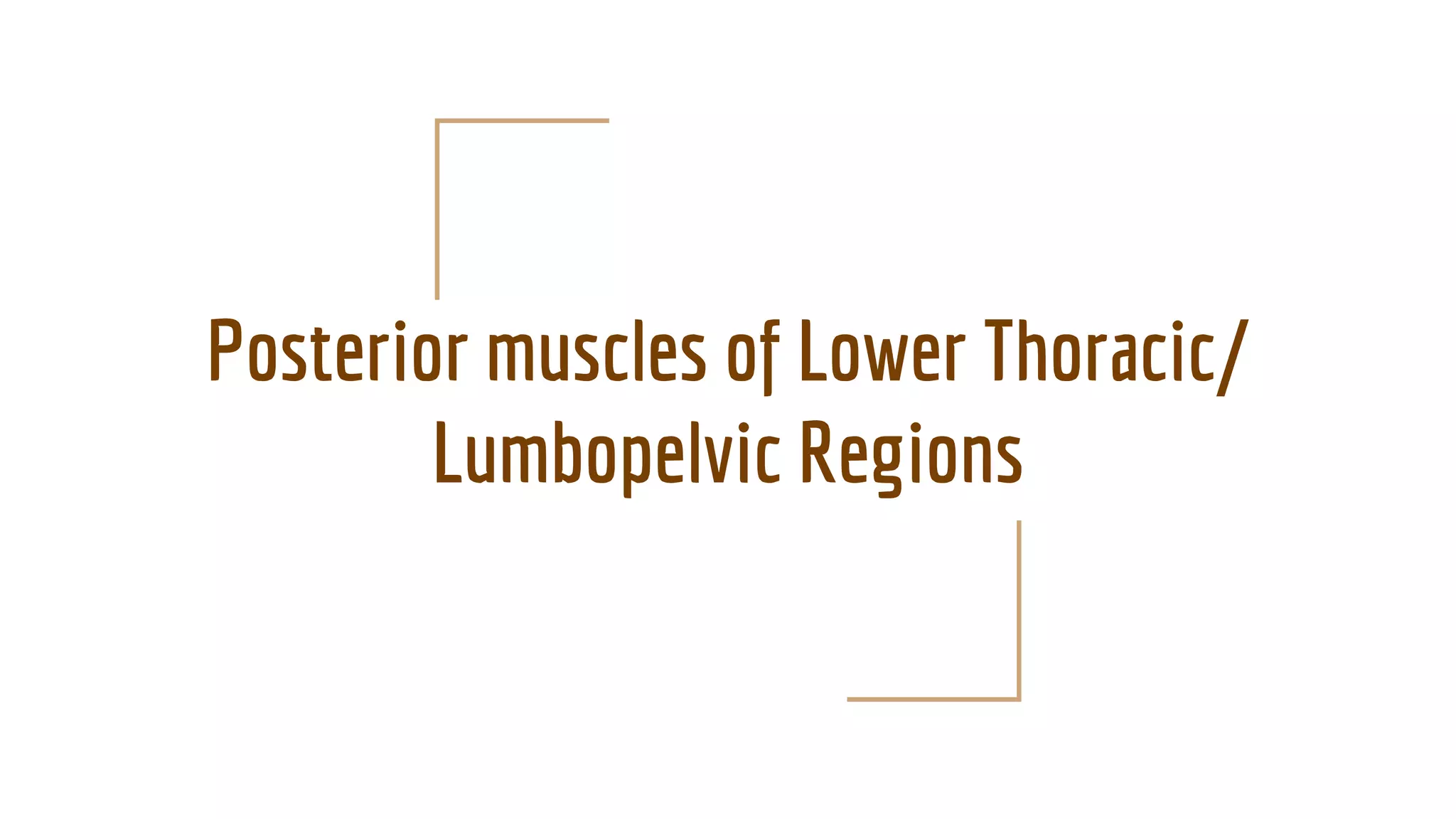 Biomechanics - muscles of lower thorax (Ann).pptx