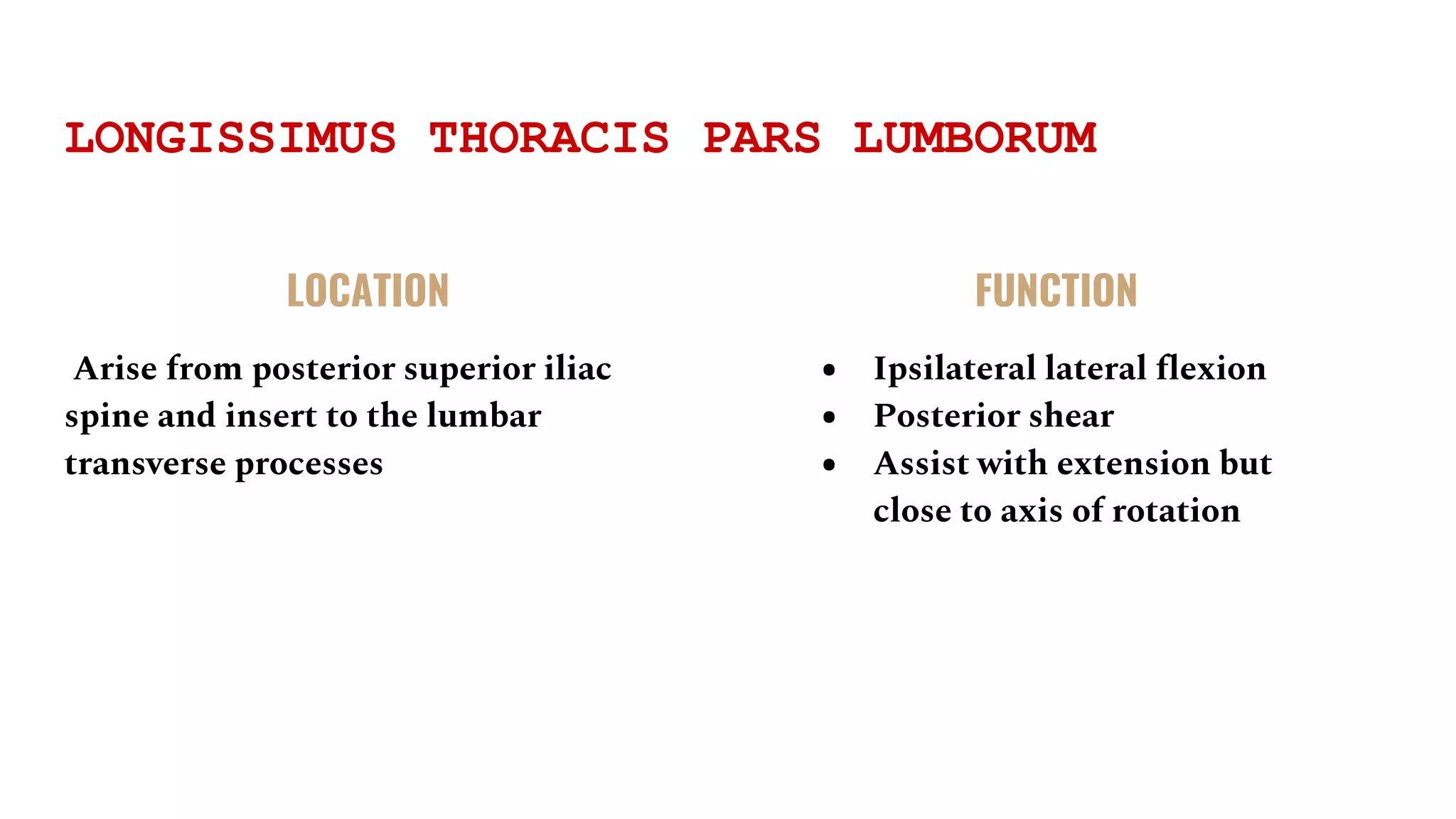 Biomechanics - muscles of lower thorax (Ann).pptx