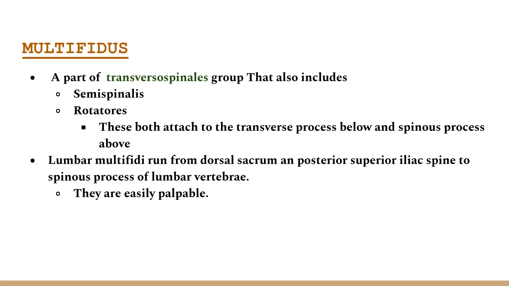 Biomechanics - muscles of lower thorax (Ann).pptx