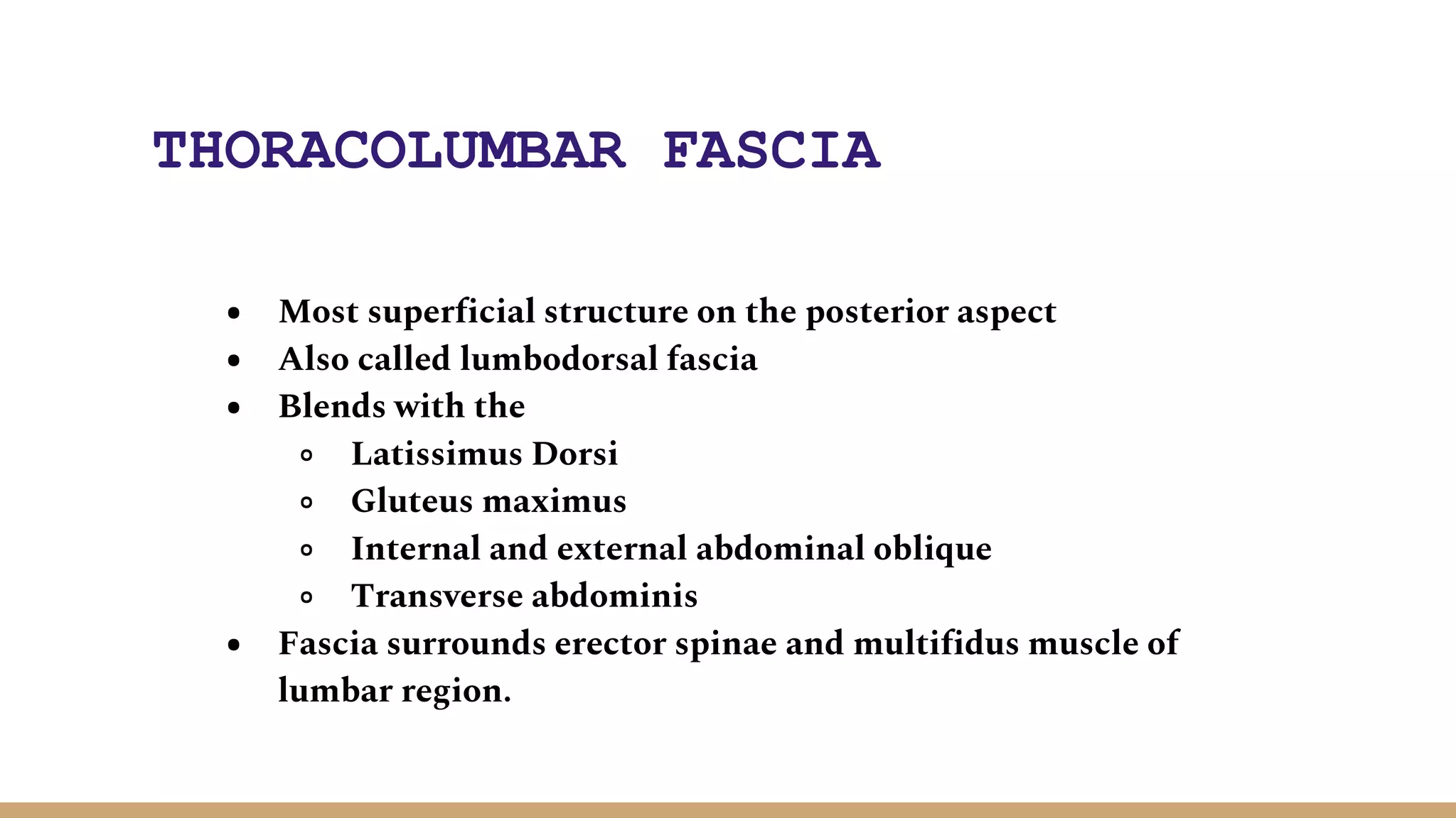 Biomechanics - muscles of lower thorax (Ann).pptx