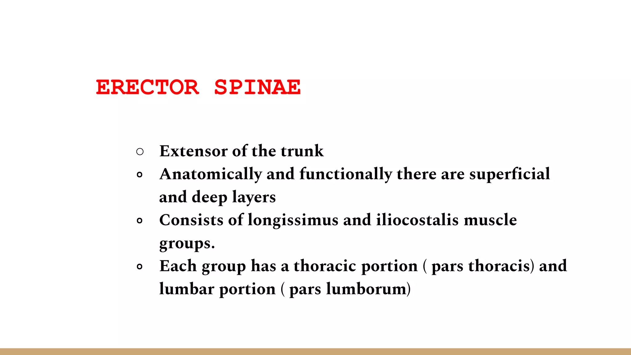 Biomechanics - muscles of lower thorax (Ann).pptx