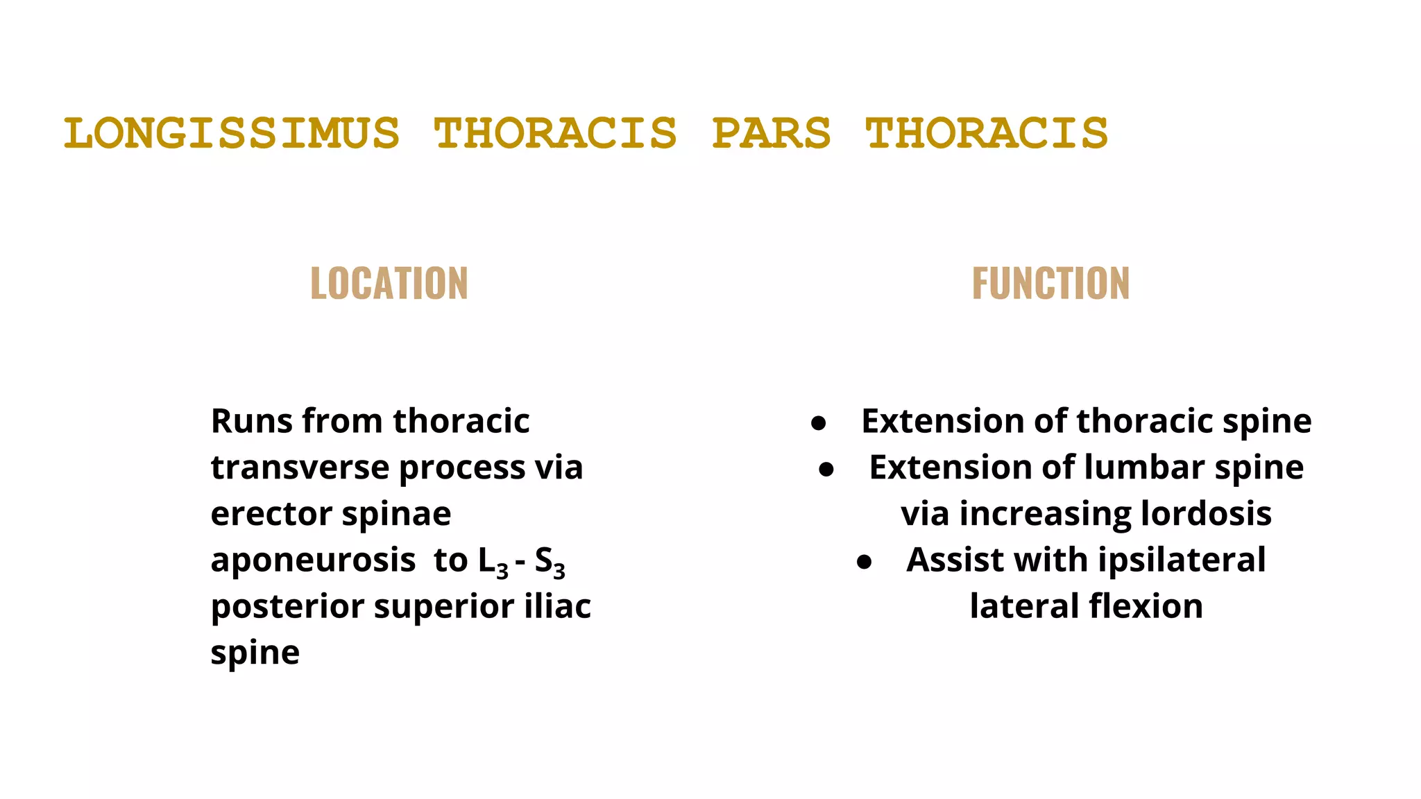 Biomechanics - muscles of lower thorax (Ann).pptx