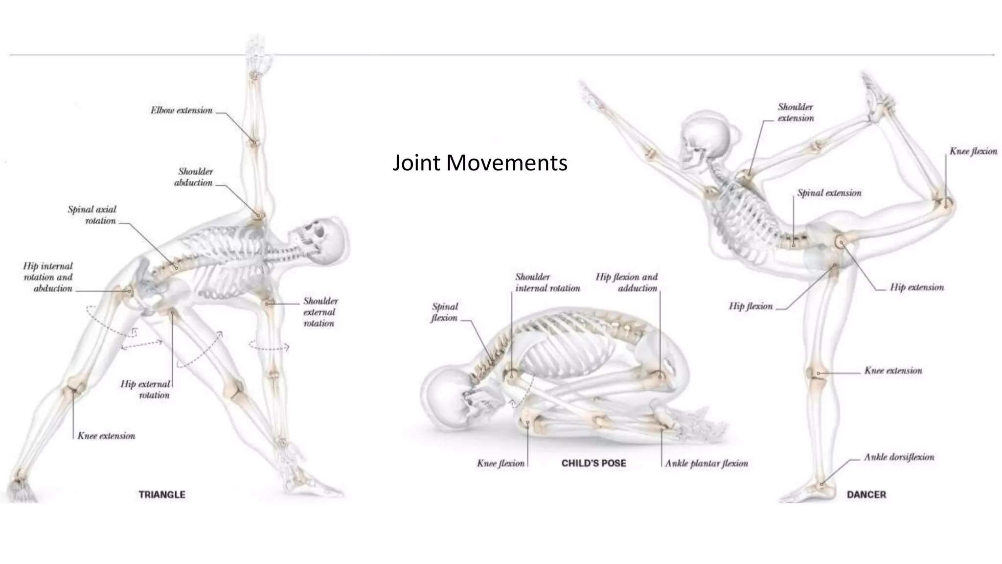 Biomechanics of-yoga | PPTX