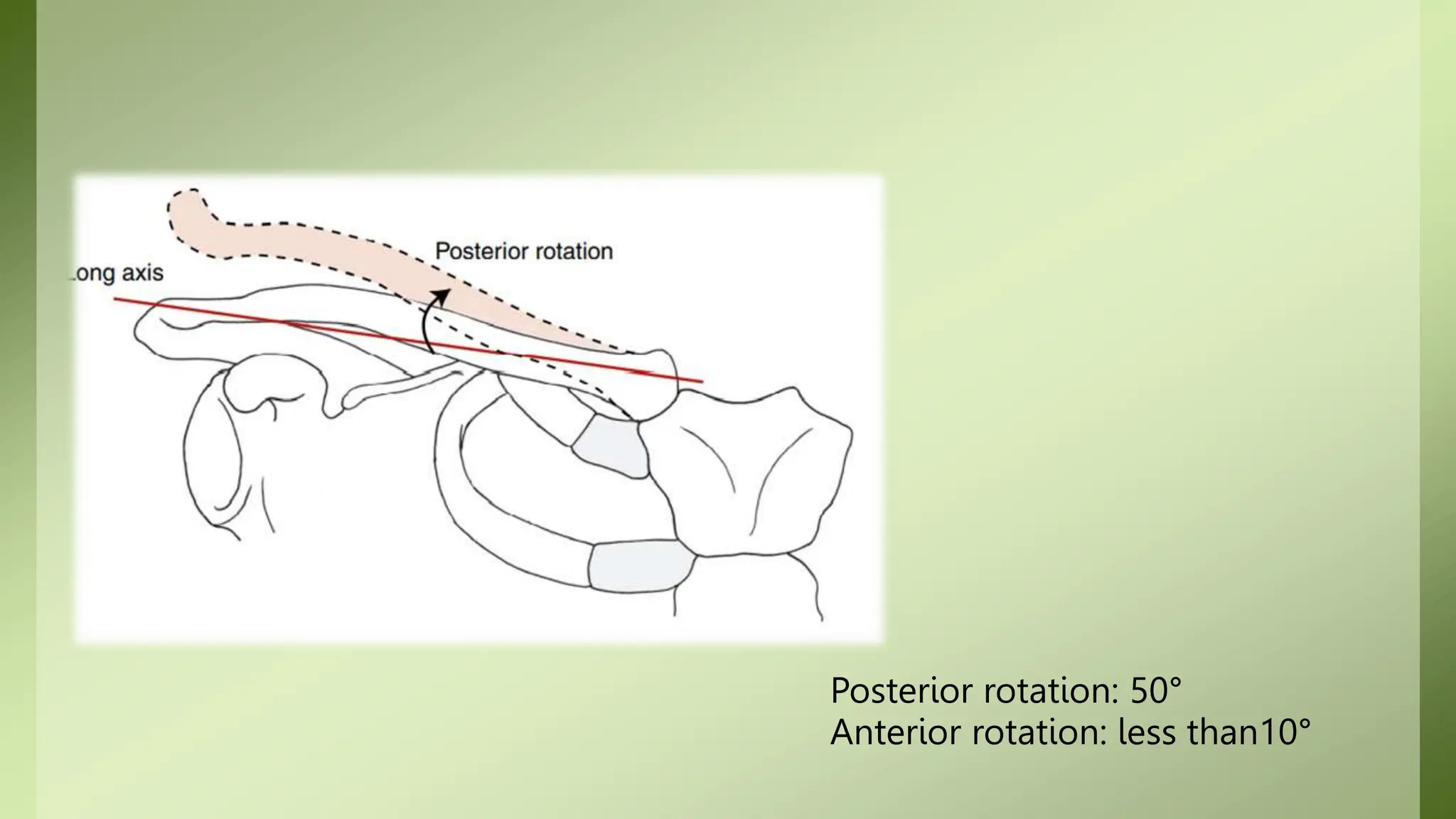 Biomechanics- Shoulder Joint!!!!!!!!!!!! | PPTX