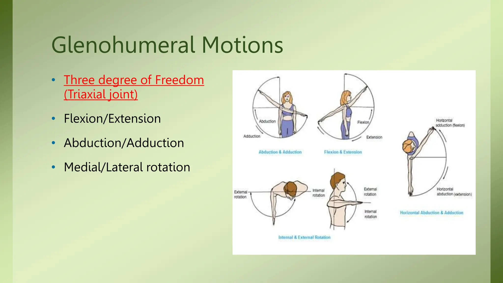 Biomechanics- Shoulder Joint!!!!!!!!!!!! | PPTX