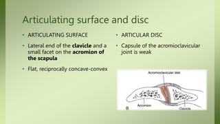 Biomechanics- Shoulder Joint!!!!!!!!!!!! | PPTX