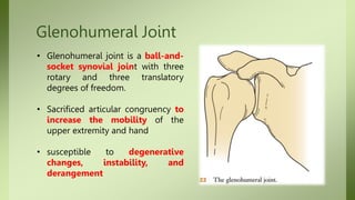 Biomechanics- Shoulder Joint!!!!!!!!!!!! | PPTX