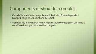 Biomechanics- Shoulder Joint!!!!!!!!!!!! | PPTX