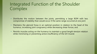 Biomechanics- Shoulder Joint!!!!!!!!!!!! | PPTX