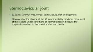 Biomechanics- Shoulder Joint!!!!!!!!!!!! | PPTX