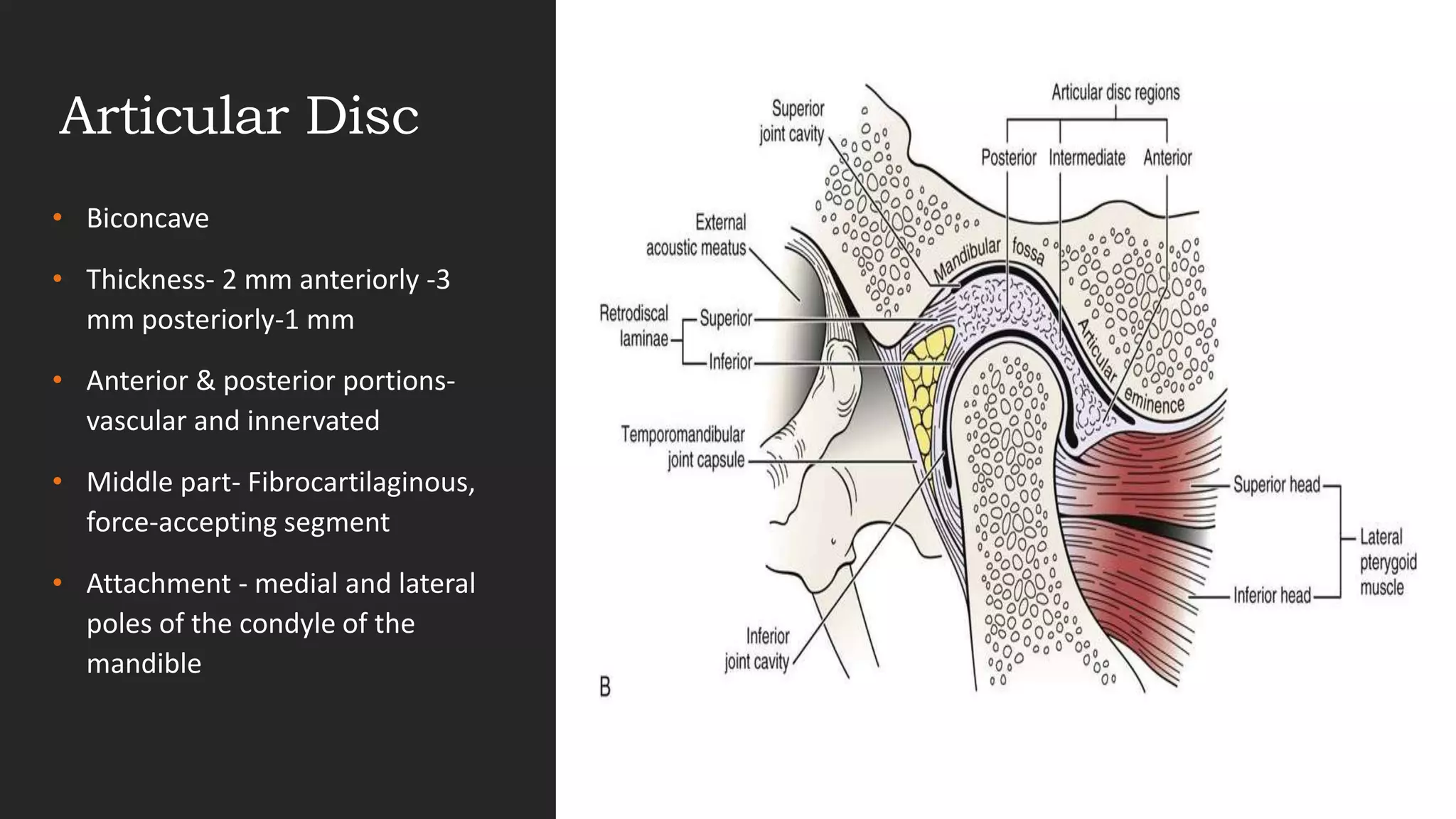 BIOMECHANICS - Tmj.pptx